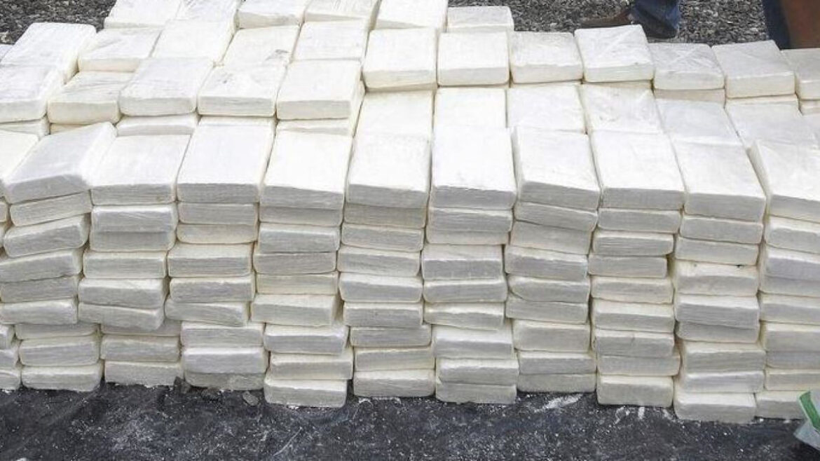 Sénégal : Importante saisie de cocaïne à Kolda, trois suspects arrêtés ...