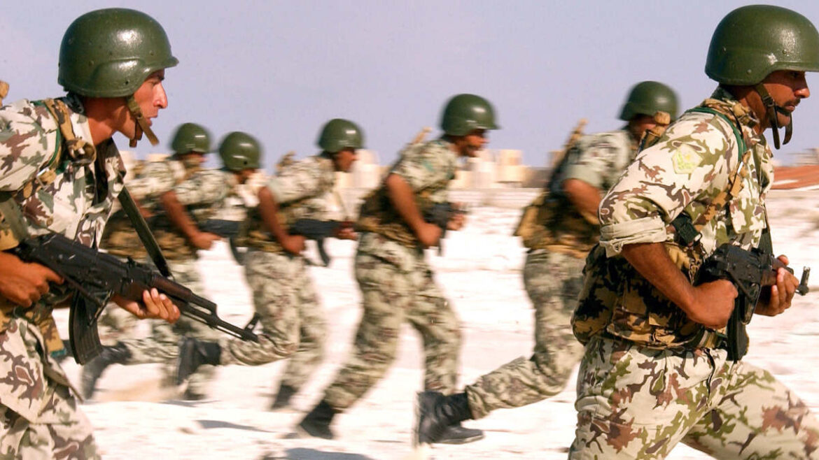 Armées en Afrique : top 20 des puissances militaires en 2026 selon ...