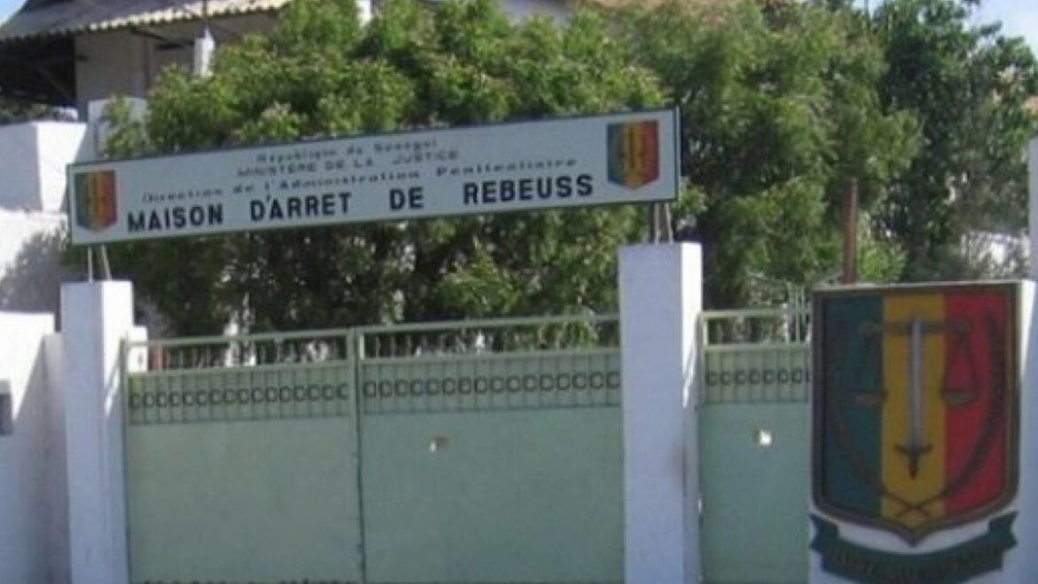 Sénégal : L’activiste Assane Diouf libéré – La Nouvelle Tribune